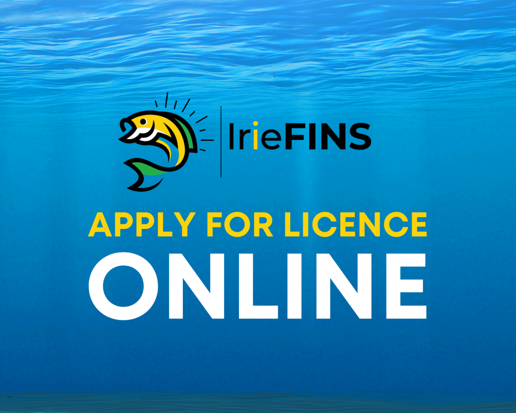 Online Licensing and Registration - National Fisheries Authority