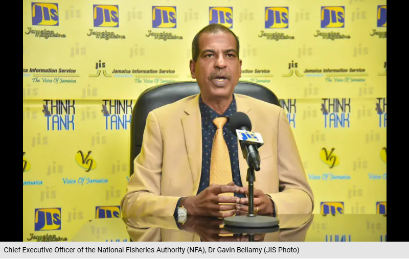 Fisheries Sector Damage Jamaica: Billions Lost to Hurricane Melissa ...