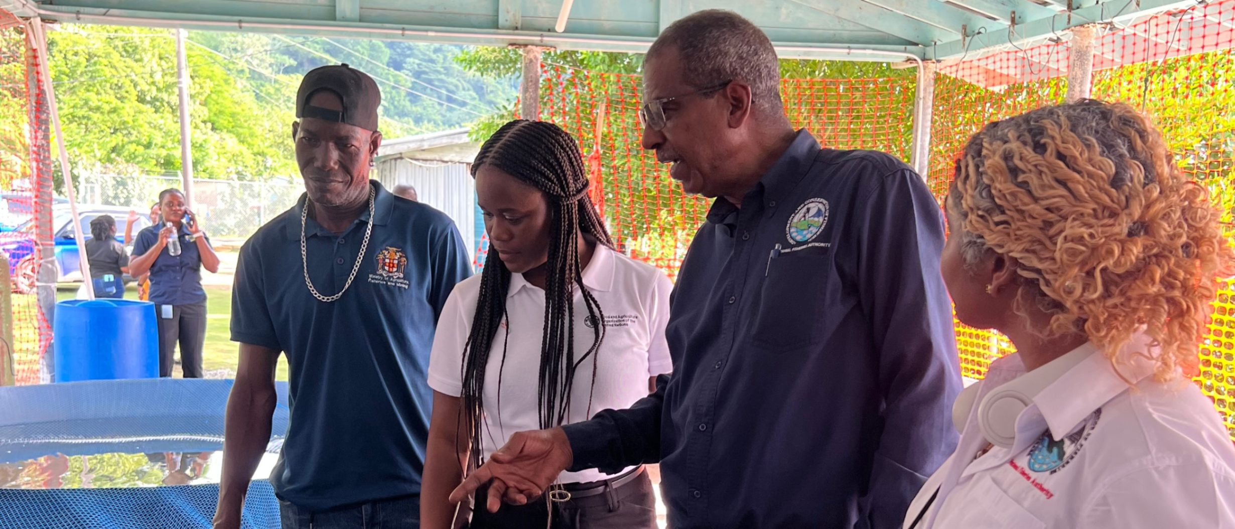 Jamaica Launches First Marine Fish Farming Pilot | Blue Economy ...