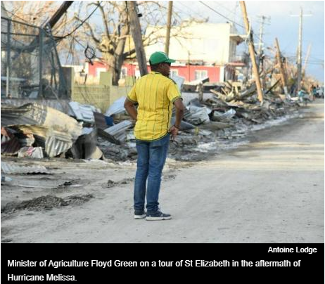 Agriculture Recovery Jamaica: Hurricane Melissa Relief Updates ...